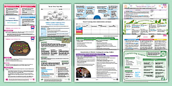 Assessment | Early Years | UAE | Twinkl Resources - Twinkl