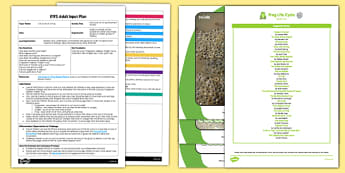 Frog Life Cycle | Early Years Activities & Resources EYFS