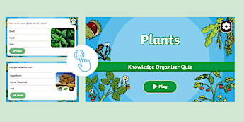 Interactive Plants Quizzes | twinkl.co.uk