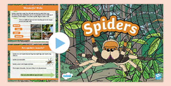 Minibeasts Powerpoints KS1 Primary Resources - Twinkl