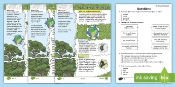 Amazon Rainforest Resources | twinkl.co.uk