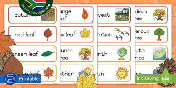 Autumn Preschool Classroom Themes - | Preschool | SA