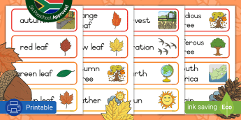 Autumn Word Cards | twinkl.co.uk