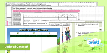 Lesson Plans For Science | Year 2 Animals Including Humans