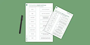 Photosynthesis Activities | twinkl.ca