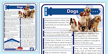 Dogs Activities Resources | twinkl.co.uk