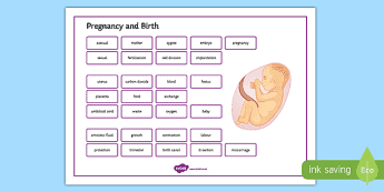 Health Education Activities | twinkl.co.uk