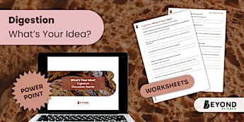 Nutrition and Digestion | KS3 Biology | Science | Beyond