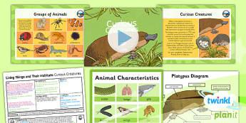 Living Things and Their Habitats - Year 6 Science Resources