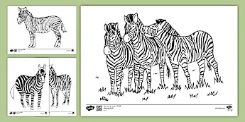 African Animals Artworks | twinkl.co.uk