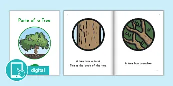 Parts of Trees | twinkl.com