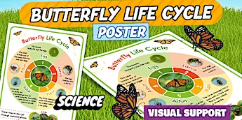 Life Cycle Posters | twinkl.com