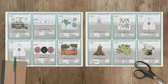 Carbon Cycle Resources | twinkl.com.au