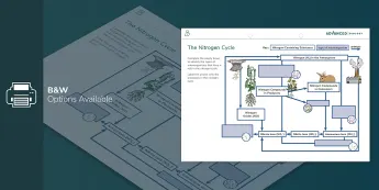 Nitrogen Cycles Biology | twinkl.co.uk