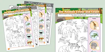Colour and Count Activities | twinkl.co.uk