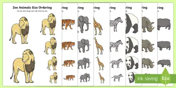 Sorting Activities | twinkl.co.uk