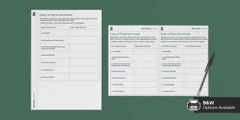 Plant Hormones Biology | twinkl.co.uk
