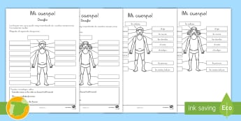 Conocimiento del cuerpo humano - 1º de Primaria - España