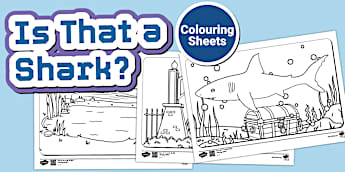 Shark in the Park Resources - Nick Sharratt - KS1 - Twinkl