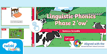 'ow' Sound Phase 2 - Stage 5/6 Phonics - Linguistic Phonics - Resources