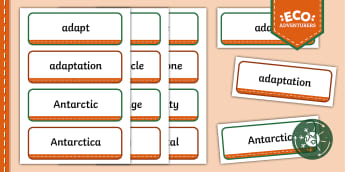 Year 2 | Earth's Climate & Cycles | Eco Adventurers