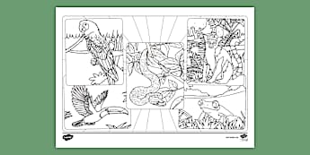 Rainforest and Jungle Colouring Ideas for Parents and Kids