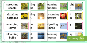 Spring Word Cards | twinkl.com.au