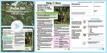 Palm Oil - Twinkl NewsRoom - Twinkl