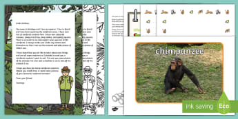 Jungle and Rainforest Activities KS1 | Primary Resources