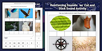 'ea' Phonics Activities | twinkl.co.uk