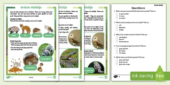 Activities and Worksheets | British Wildlife | KS1 | Science