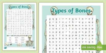 Anatomy Word Searches | twinkl.ca