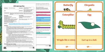 Planning Packs - Butterfly Life Cycle - EYFS - Twinkl
