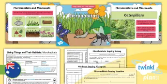 Living Things Lessons | twinkl.com.au