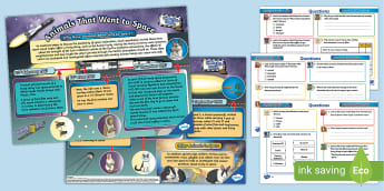 Digging For Details Infographic Comprehension Practice: Totally Pawsome