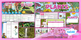 Plants - Year 2 Science Resources - Twinkl