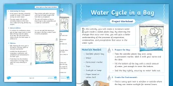 Water Cycles | twinkl.co.uk