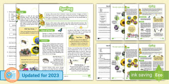 Reading Curriculum - Guided Reading Activities KS2 -- Twinkl