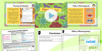 Living Things and Their Habitats - Year 6 Science Resources