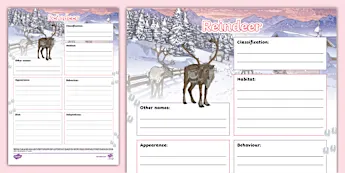 Reindeer Templates | twinkl.com.au