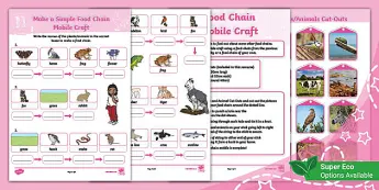 Food Chains | twinkl.com.au