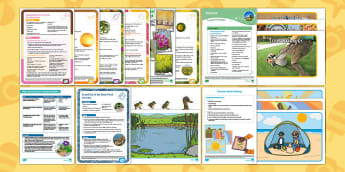 Summer Early Years Activities and Resources | Twinkl