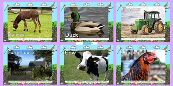 Farm Animals PowerPoints | twinkl.com.au
