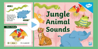 Animal Sounds PowerPoints | twinkl.co.uk