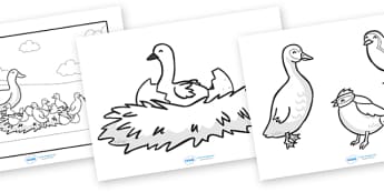 The Ugly Duckling Activities, Worksheets and Games