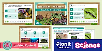 Minibeasts Resources | twinkl.com.au