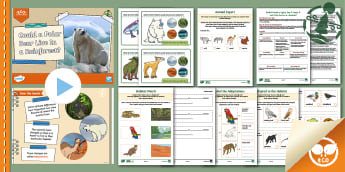 Year 2 | Earth's Climate & Cycles | Eco Adventurers