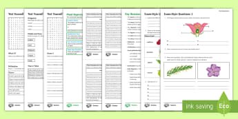 Reproduction | KS3 Biology | Science | Beyond Secondary
