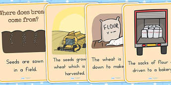 Food, Drink and Eating Displays - EYFS - Twinkl