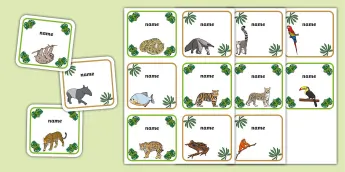 Editable Peg Labels | twinkl.com.au